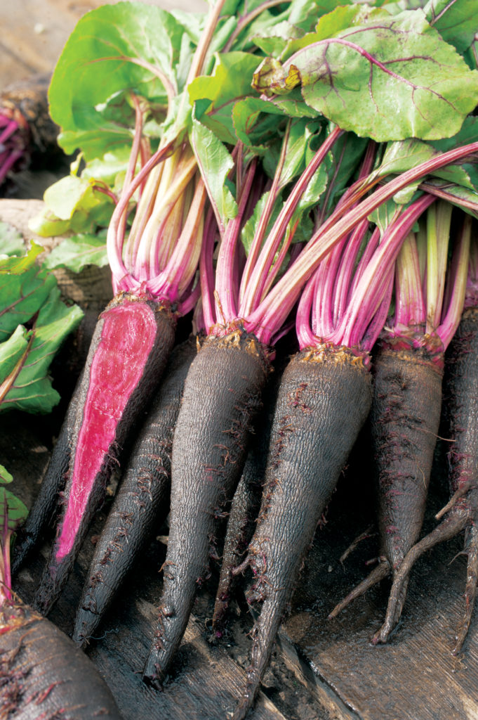 The Crapaudine beetroot shines on MasterChef - Dobies Blog