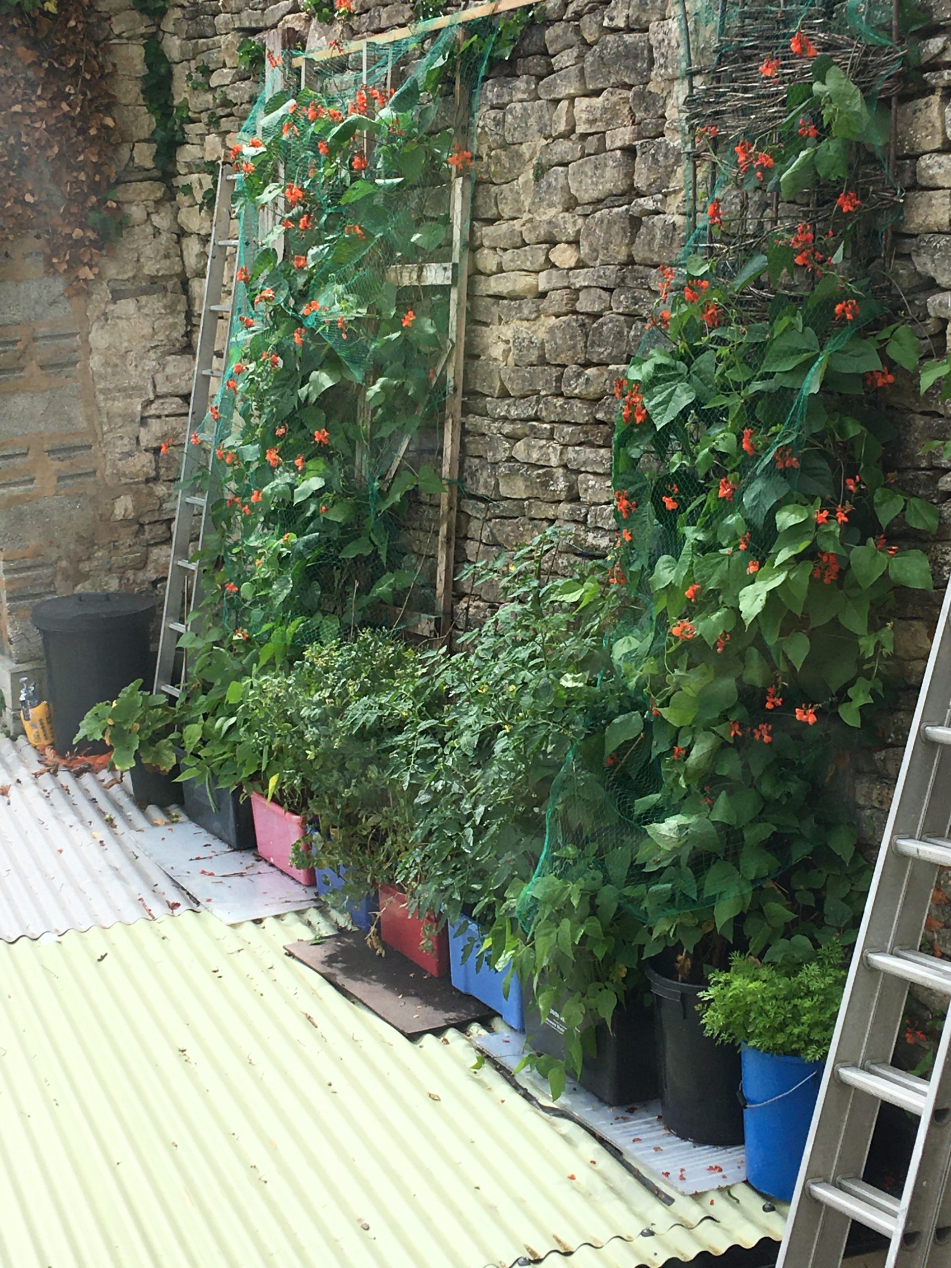 Valerie-Michael - Dobies Blog