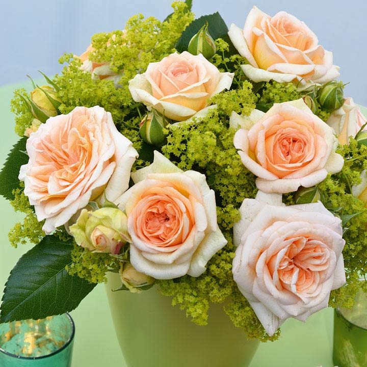 Roses for the Home Florist - Dobies Blog
