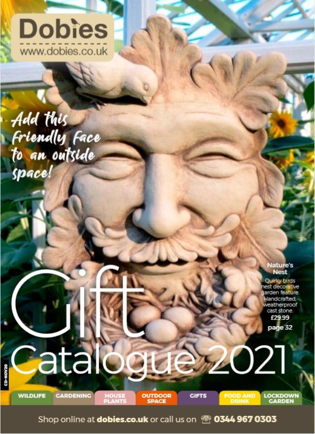 dobiesgfg - Dobies Blog