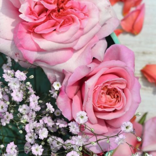 Roses for the Home Florist - Dobies Blog