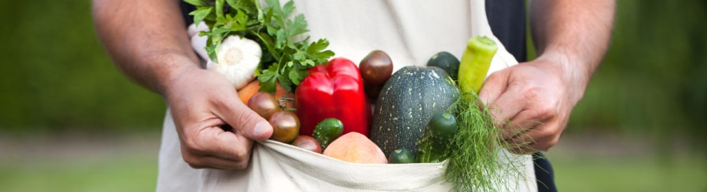 grow-your-own-berries-pr (4) - Dobies Blog