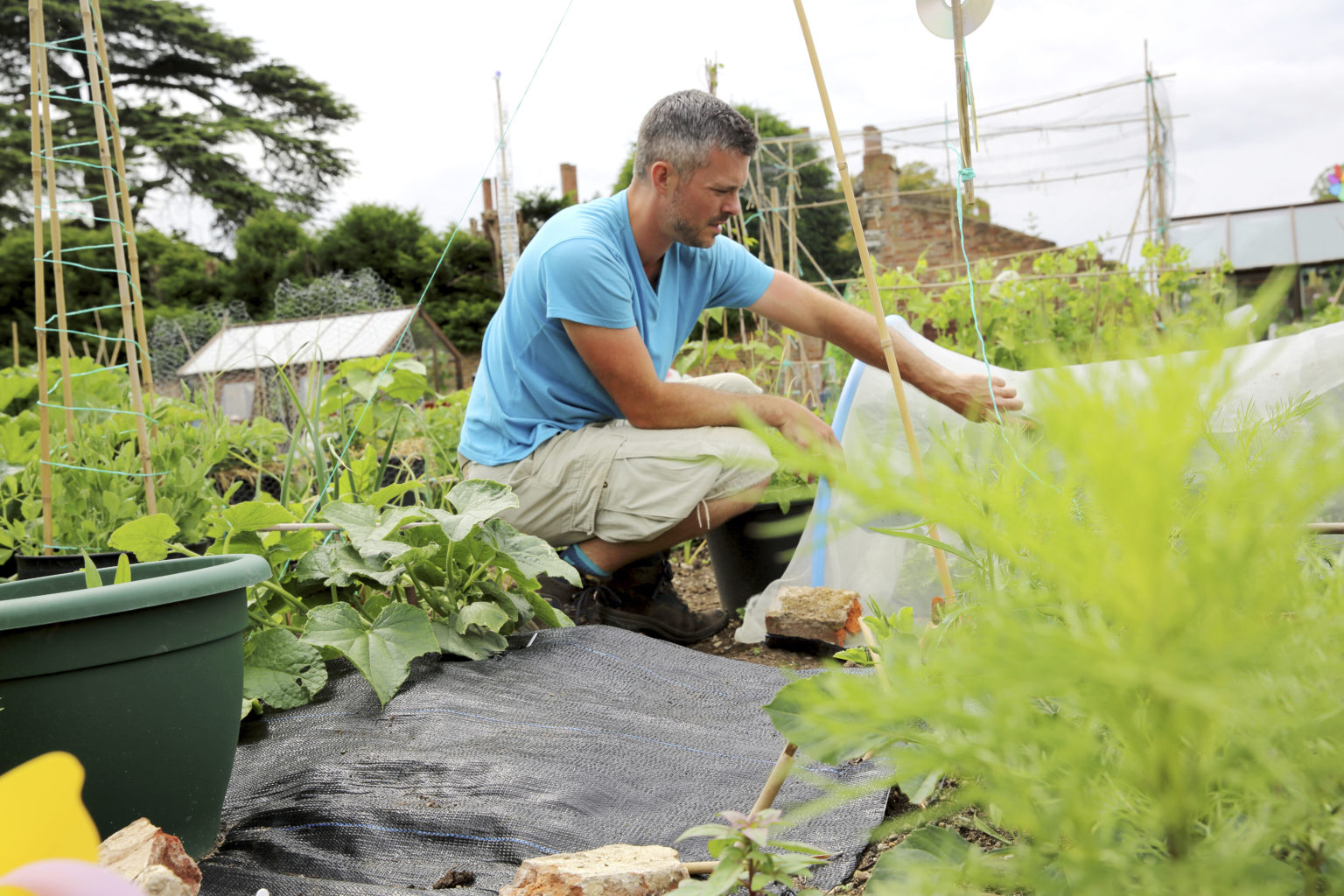 Rob gardening Rob Smith - Dobies Blog