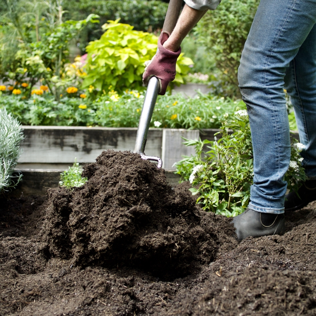 How to Grow a Successful Garden Border: Design & Planting - Dobies Blog