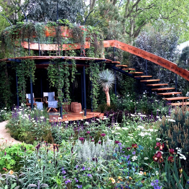 Dobies Guide to RHS Virtual Chelsea Flower Show 2021 - Dobies Blog