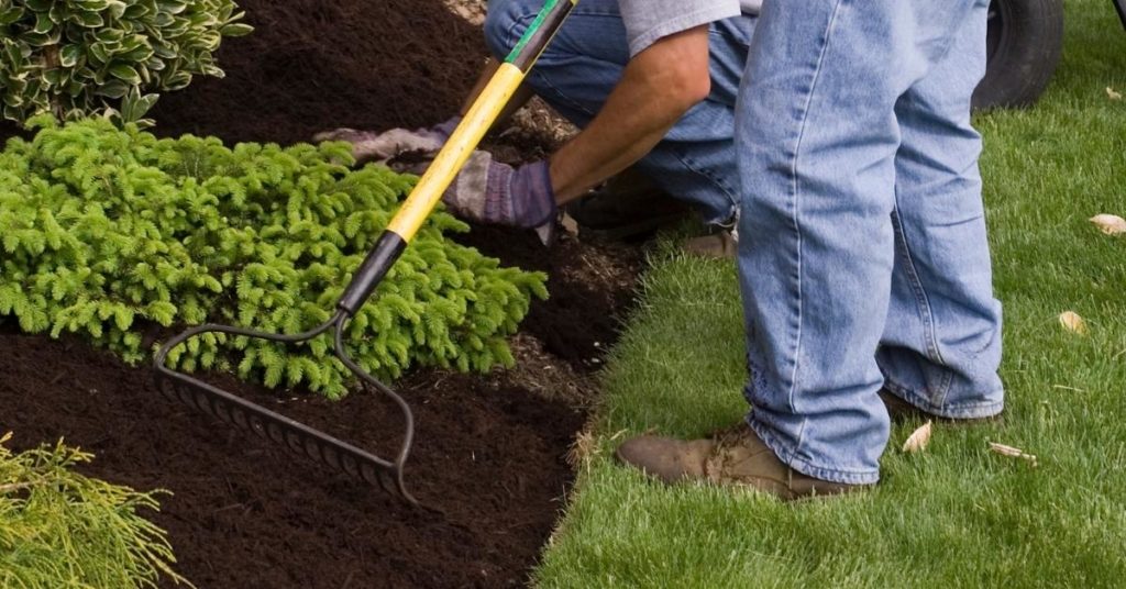How to make your own compost - and why we all should - Dobies Blog