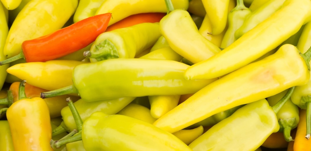 How and when to harvest chillies - Dobies Blog